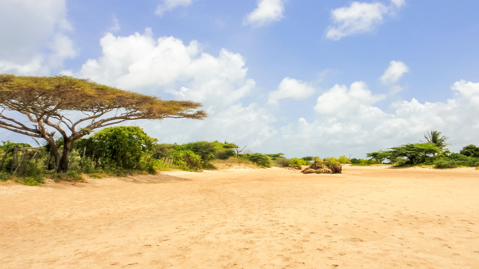 Indian Ocean Kenya | Kenyan Coast & Lamu Beach hotels