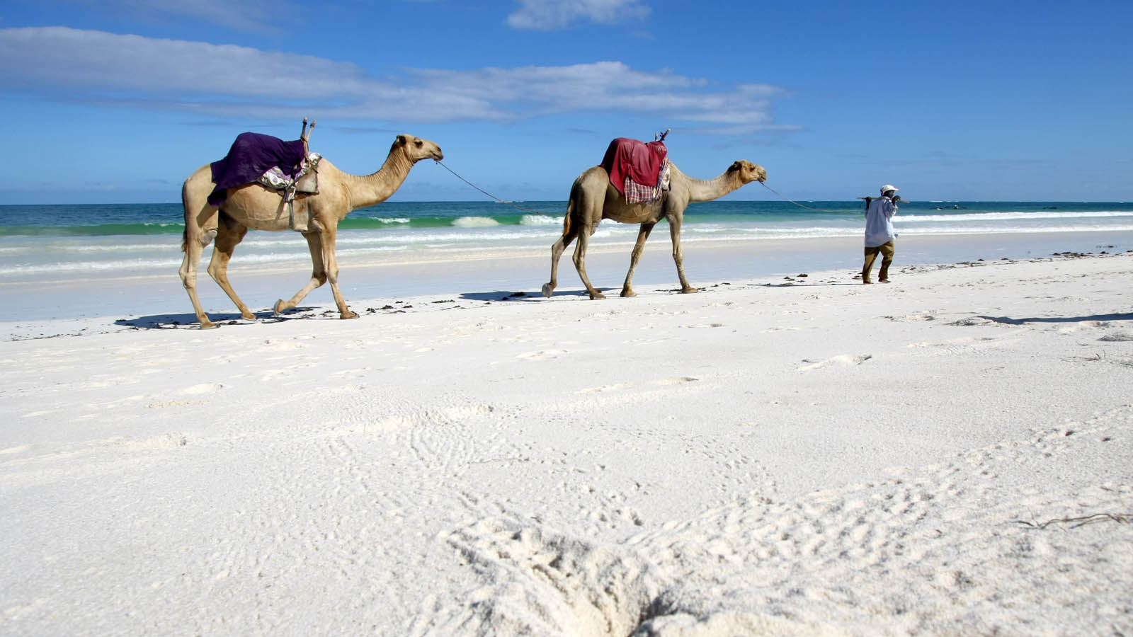 Indian Ocean Kenya | Kenyan Coast & Lamu Beach hotels