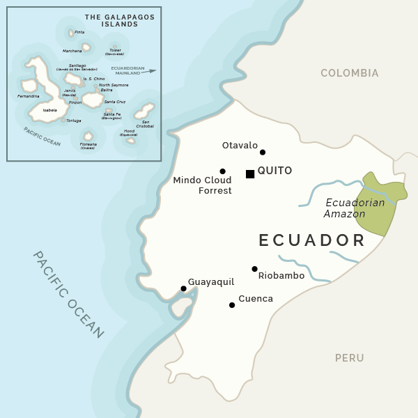 Best Places to stay inÂ Mindo, best cloudforest & Mindo Hotels & Lodges