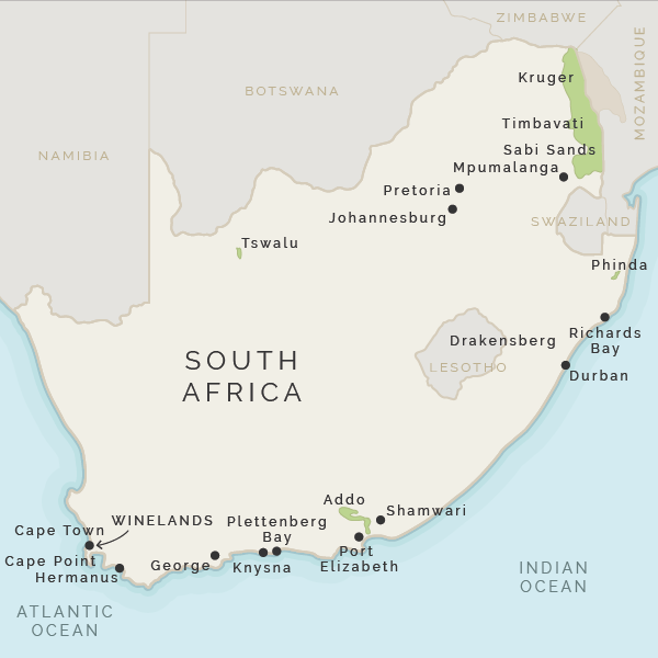 Phinda Game Reserve | &Beyond Phinda Accommodation and rates