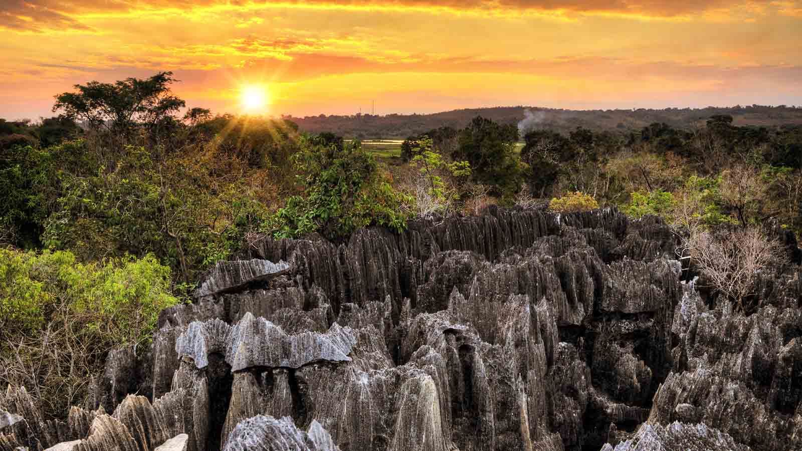 Madagascar Holidays | Madagascar Packages | Africa Odyssey