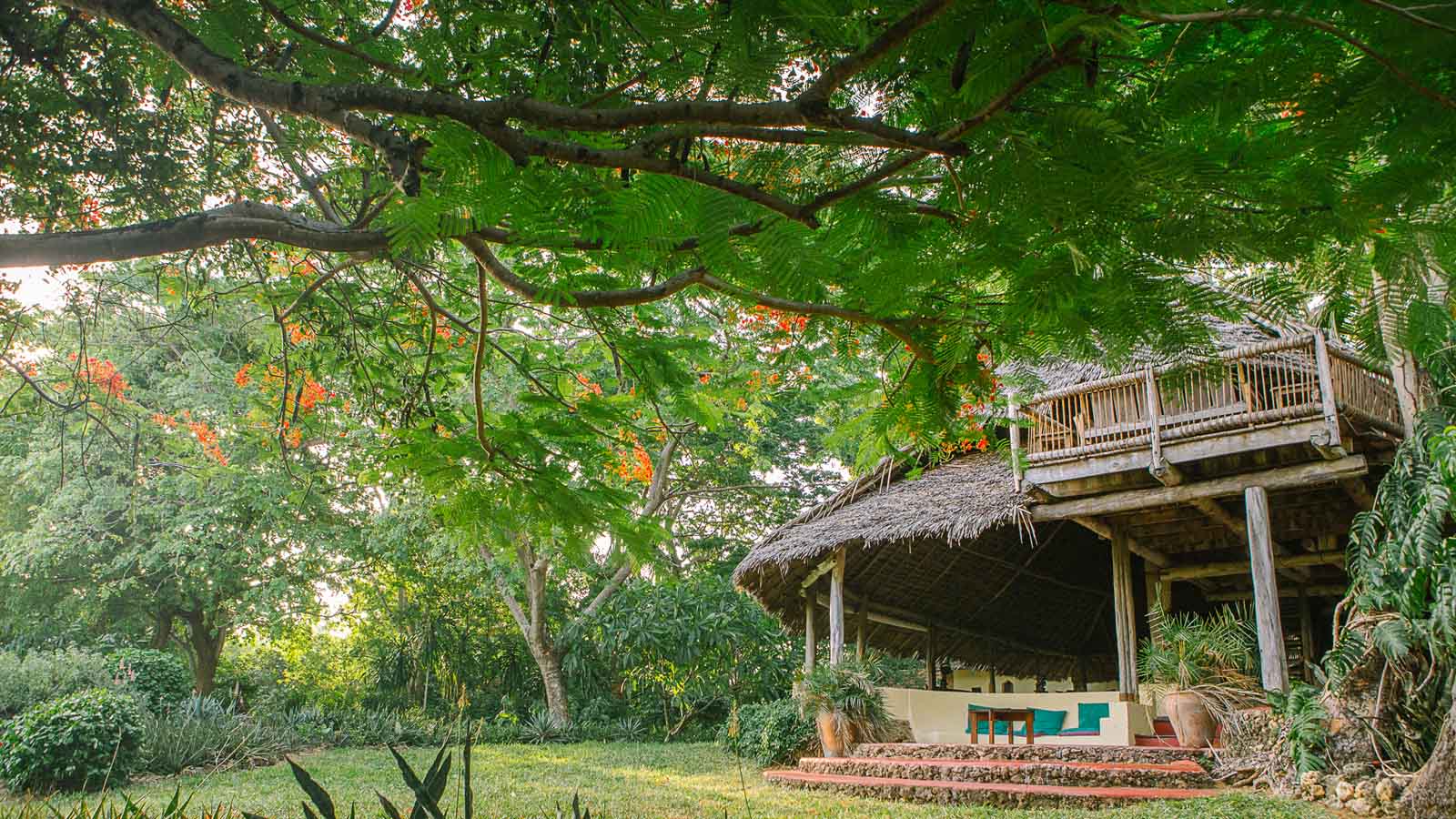 Chole Mjini | Mafia Island Holidays | Tanzania Odyssey