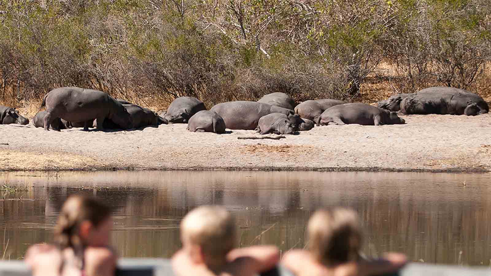 Machaba Camp, & rates, Okavango Delta, Botswana