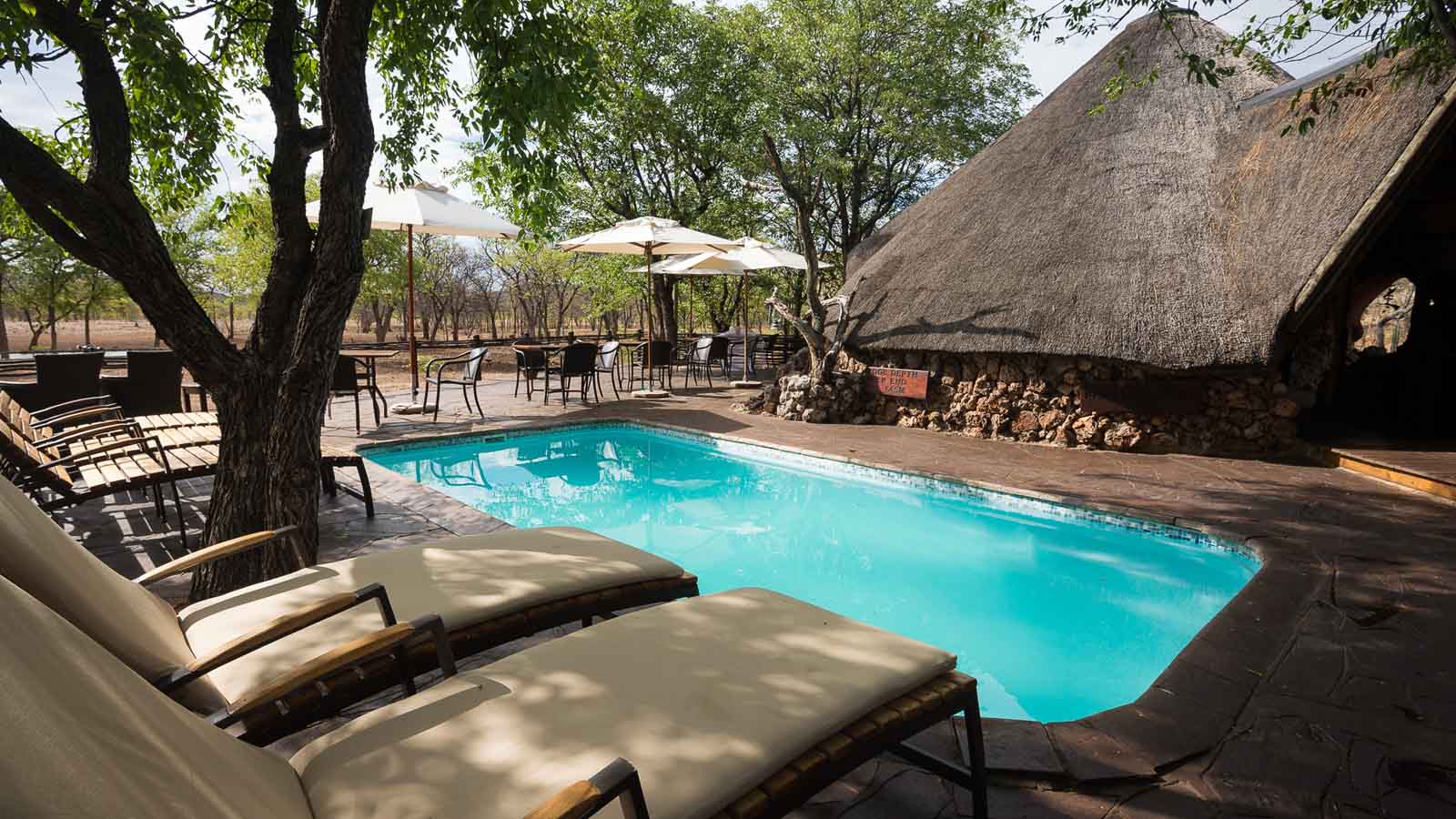 Ongava Tented Lodge | Etosha Safaris in Namibia | Africa Odyssey