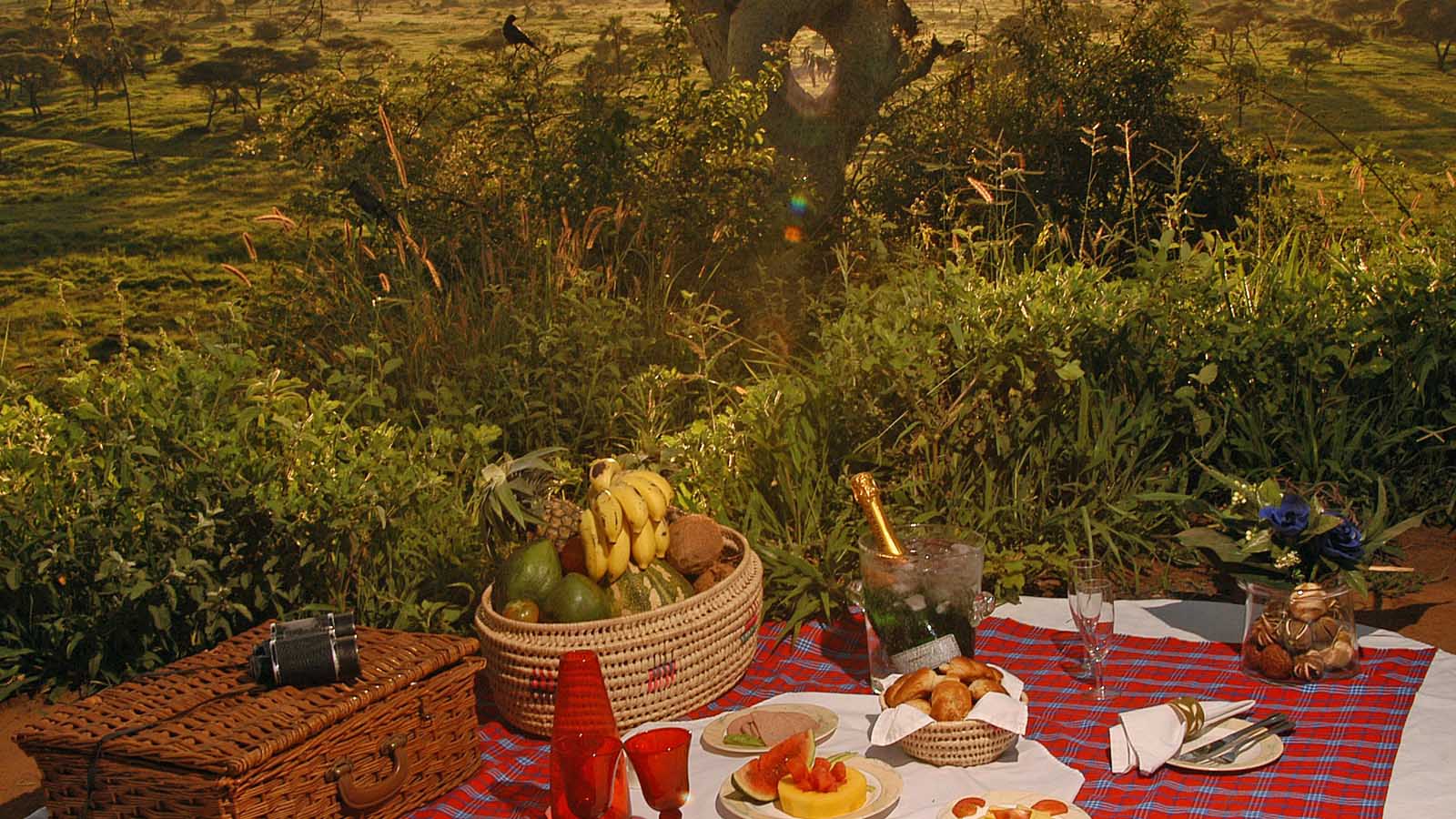 Tarangire Sopa Lodge | Safaris | Tanzania Odyssey