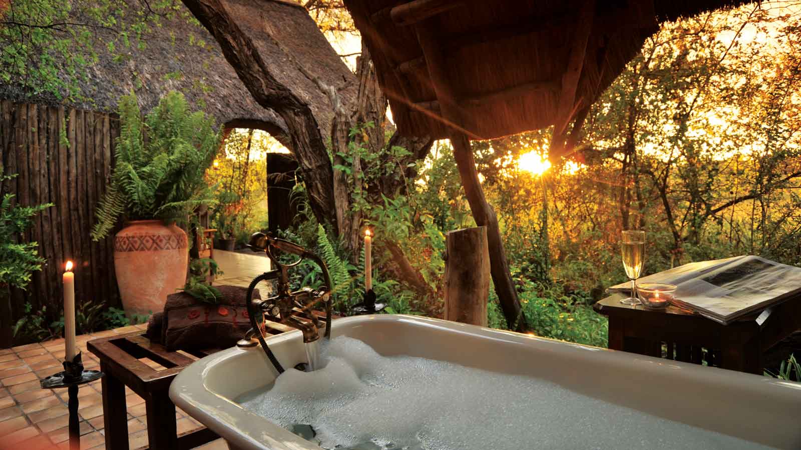 The Hide; safari guide to the Hwange, Zimbabwe