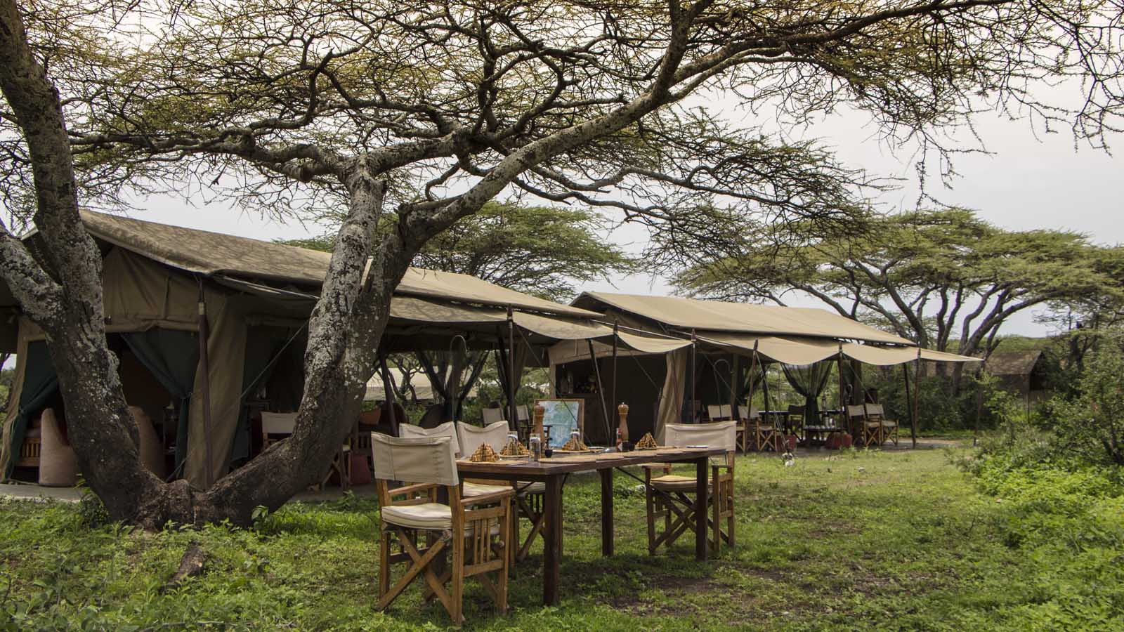 Ubuntu Camp | Serengeti Asilia Lodges | Tanzania Odyssey