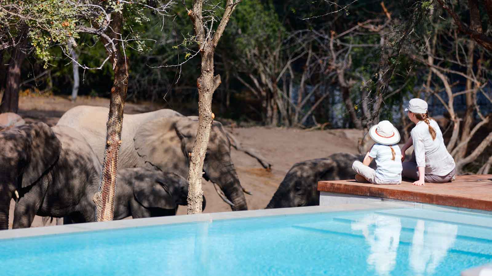 African Safari Holidays | Africa Safari Vacations | Africa Odyssey
