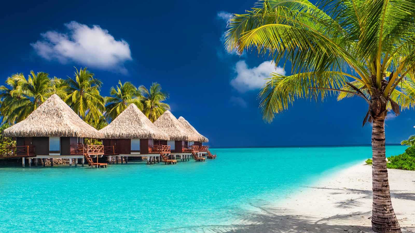 Africa Beaches: Best Beaches in Africa | Africa Odyssey