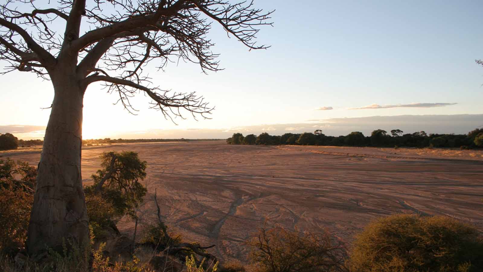 Kalahari Game Reserve | Central Kalahari Accommodation