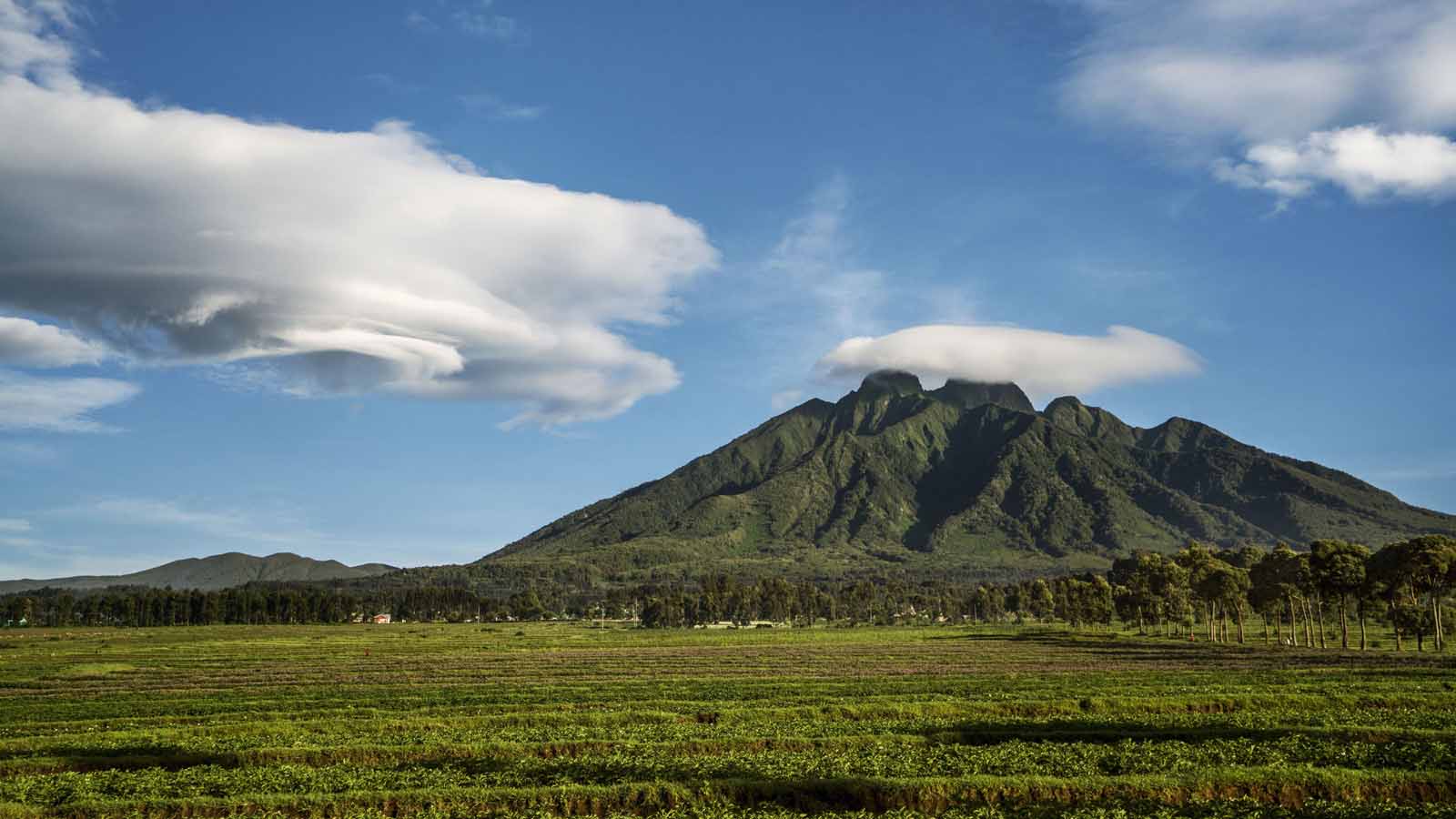 Volcanoes National Park Rwanda | Gorilla Trekking Accommodation