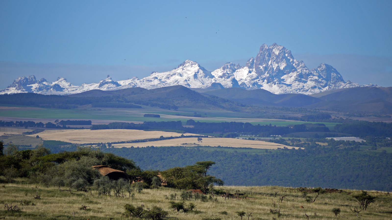 Lewa Conservancy, Safari in Kenya | Africa Odyssey