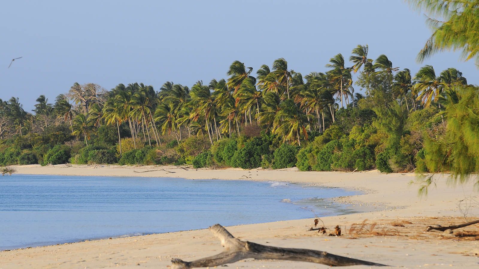 Mafia Island | Hotels on Mafia and Zanzibar | Tanzania Odyssey