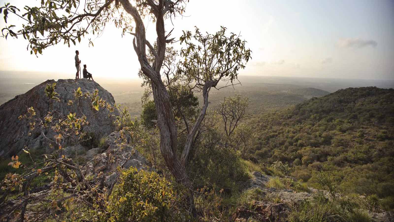 Phinda Game Reserve | &Beyond Phinda Accommodation and rates