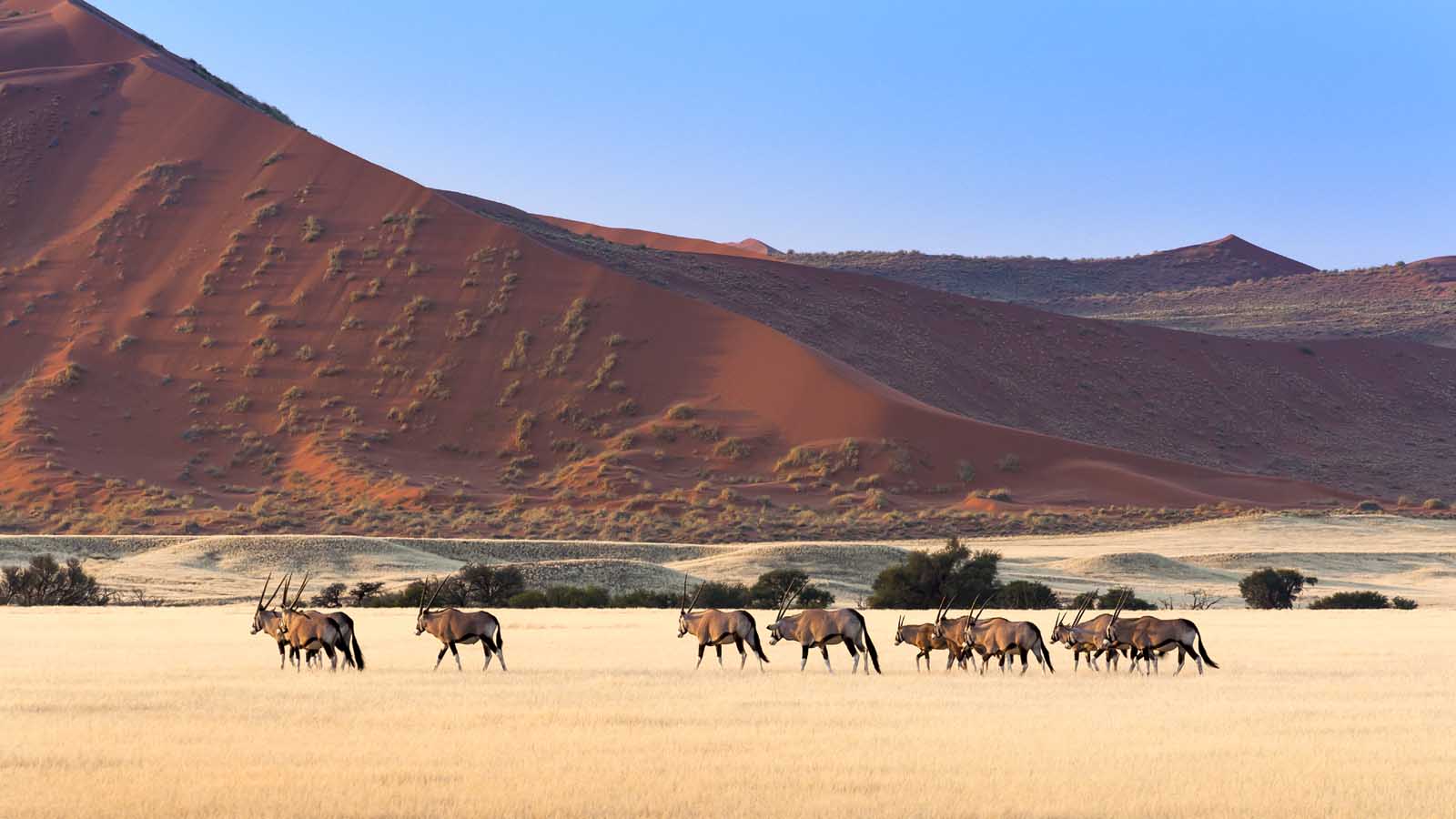 Best places to stay in Sossusvlei; where to stay in Namibia