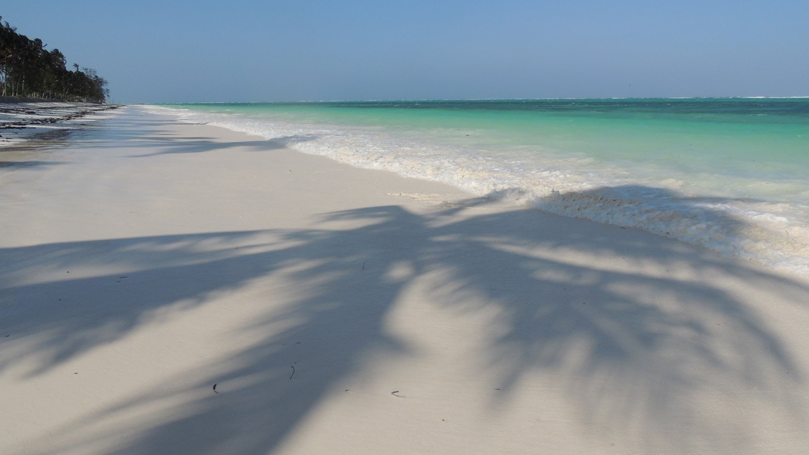 Best Time To Visit Zanzibar | Where to Stay in Zanzibar | Tanzania Odyssey